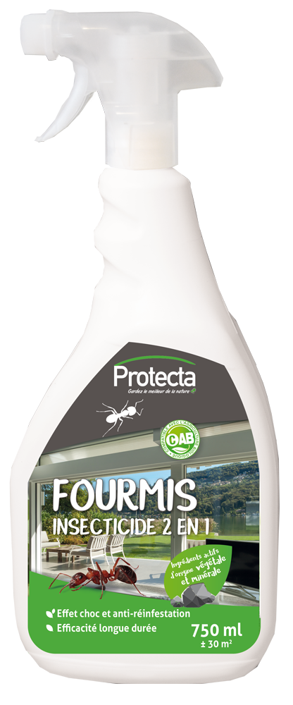 Fourmis Insecticide 2en1 pulvérisateur 750ml PROTECTA | DOD