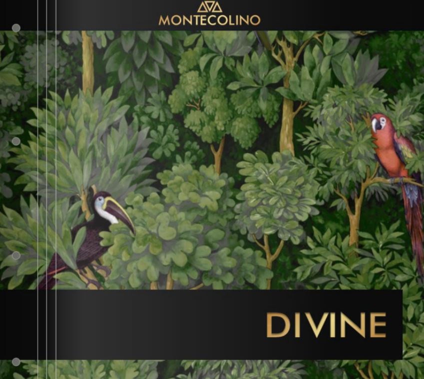 Divine Album 2024 MONTECOLINO | DOD