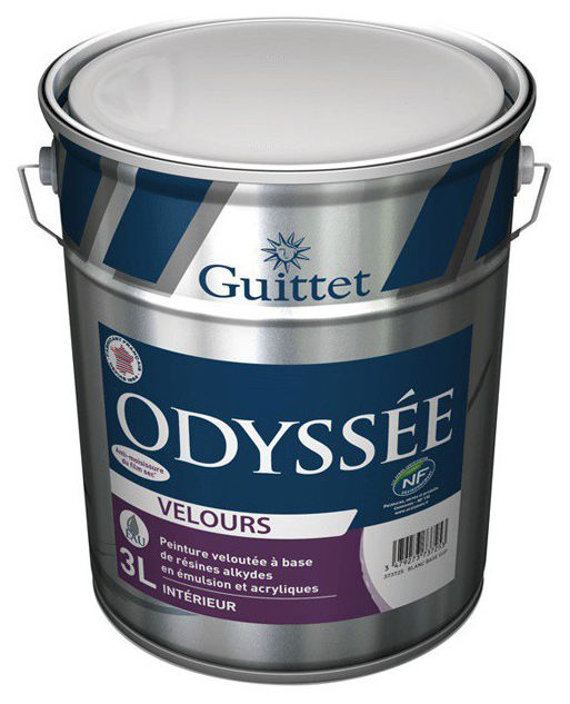 Peinture Guittet Velours